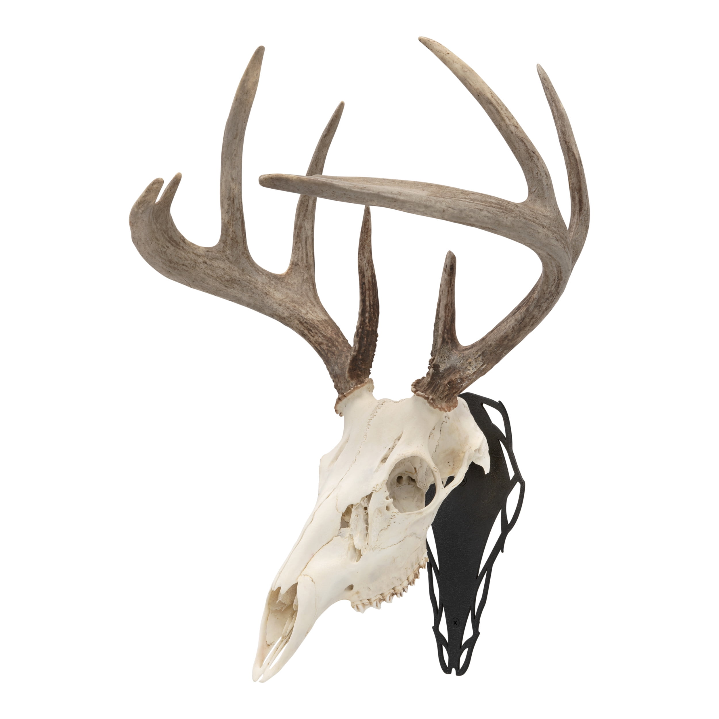Allen Company Ez Mount Silhouette Skull Peg, Black - Walmart.com
