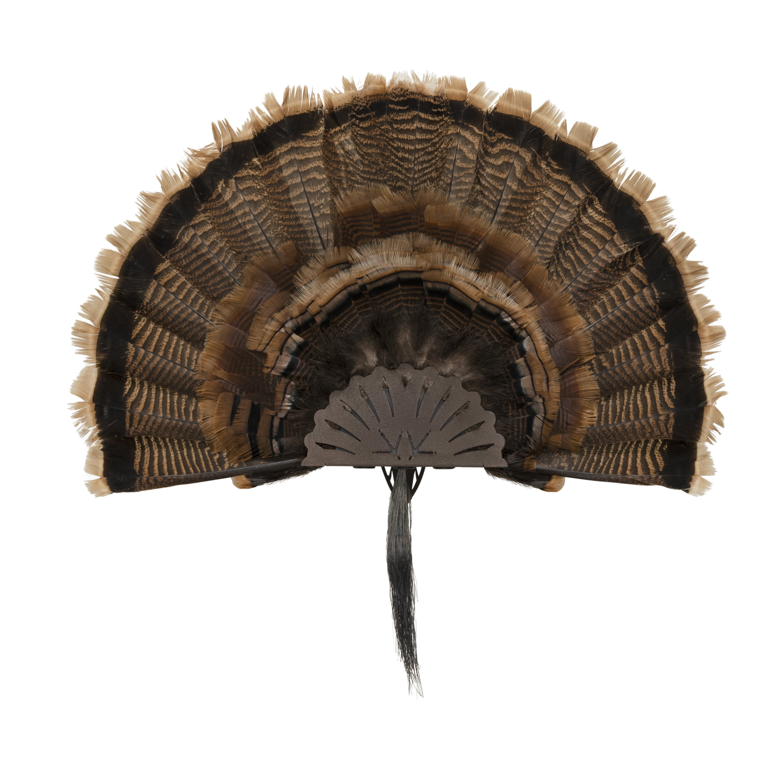 Allen Company Ez Mount Turkey Fan Display, Brown - Walmart.com