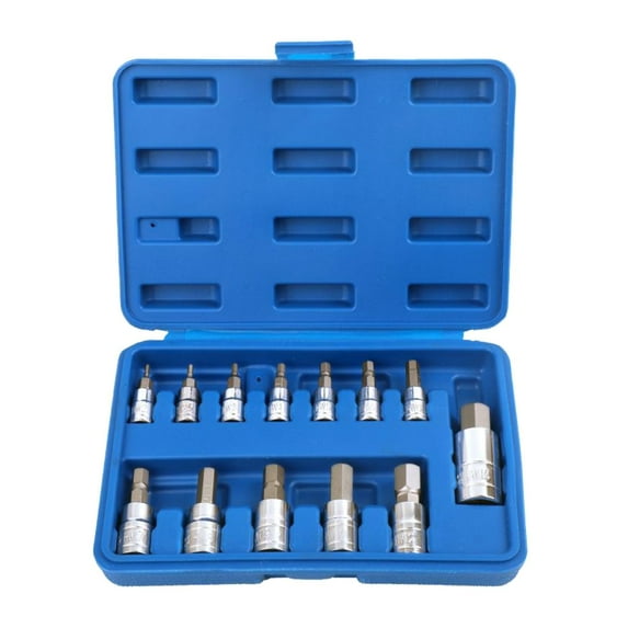 Allen Hexagon Bit Socket, 13Pcs Metric 2-14mm Allen Socket Set, Allen ...