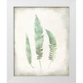 Allen, Kimberly 15x18 White Modern Wood Framed Museum Art Print Titled - Watercolor Fern 3 ...
