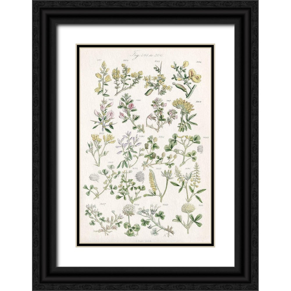Allen, Kimberly 17x24 Black Ornate Wood Framed with Double Matting ...