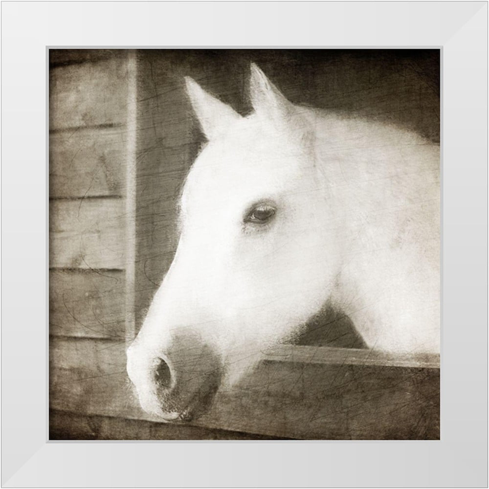 Allen, Kimberly 20x20 White Modern Wood Framed Museum Art Print Titled - Glory - Walmart.com