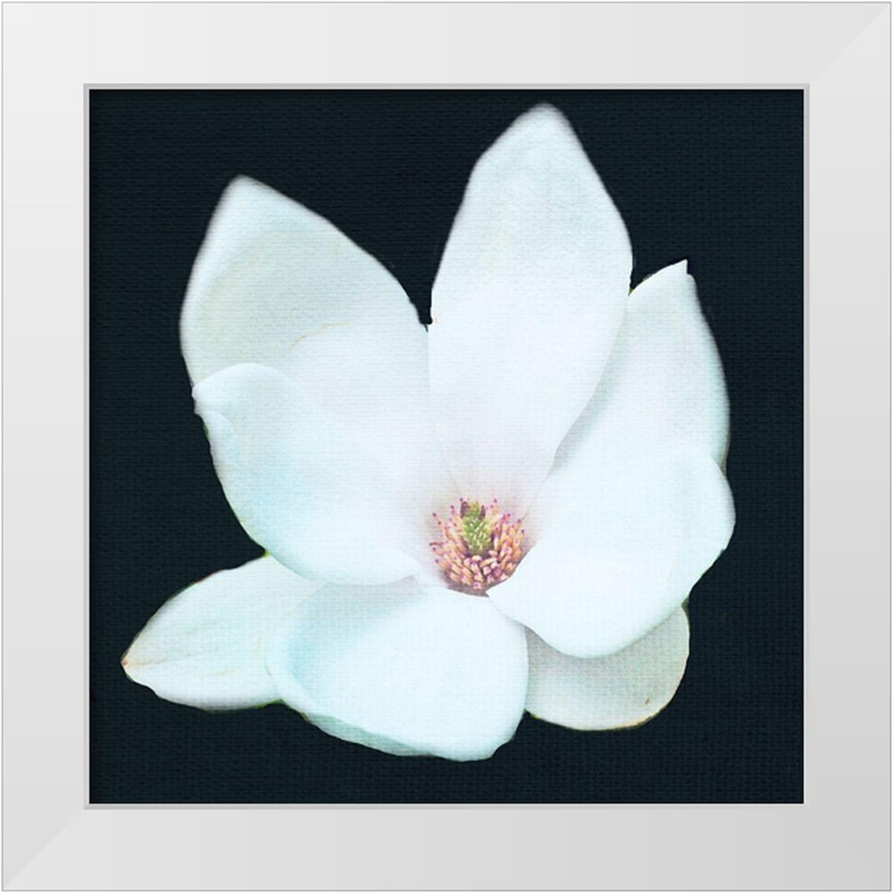 Allen, Kimberly 20x20 White Modern Wood Framed Museum Art Print Titled ...