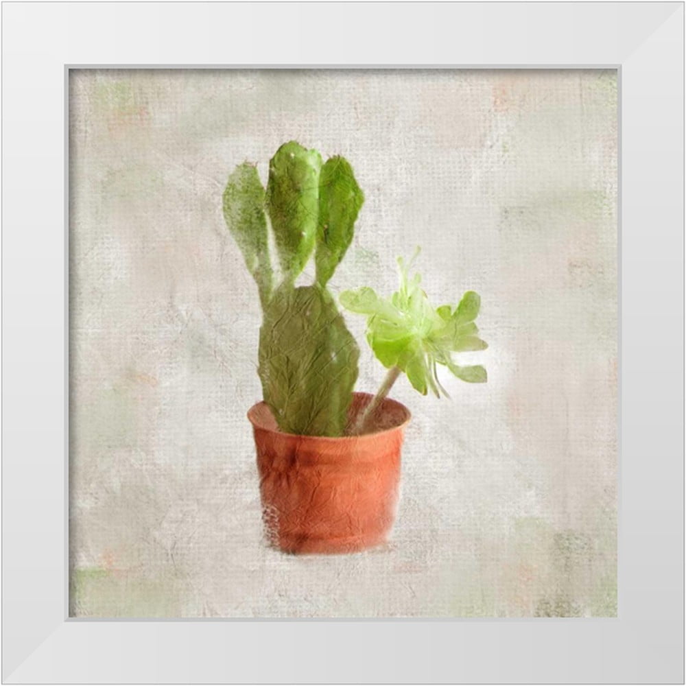 Allen, Kimberly 20x20 White Modern Wood Framed Museum Art Print Titled - Potted Life 3 - Walmart.com