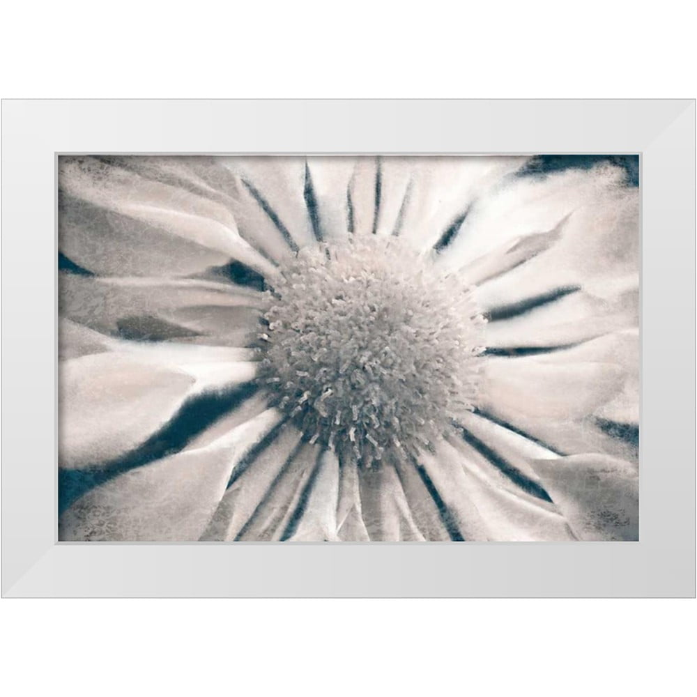 Allen, Kimberly 24x17 White Modern Wood Framed Museum Art Print Titled ...