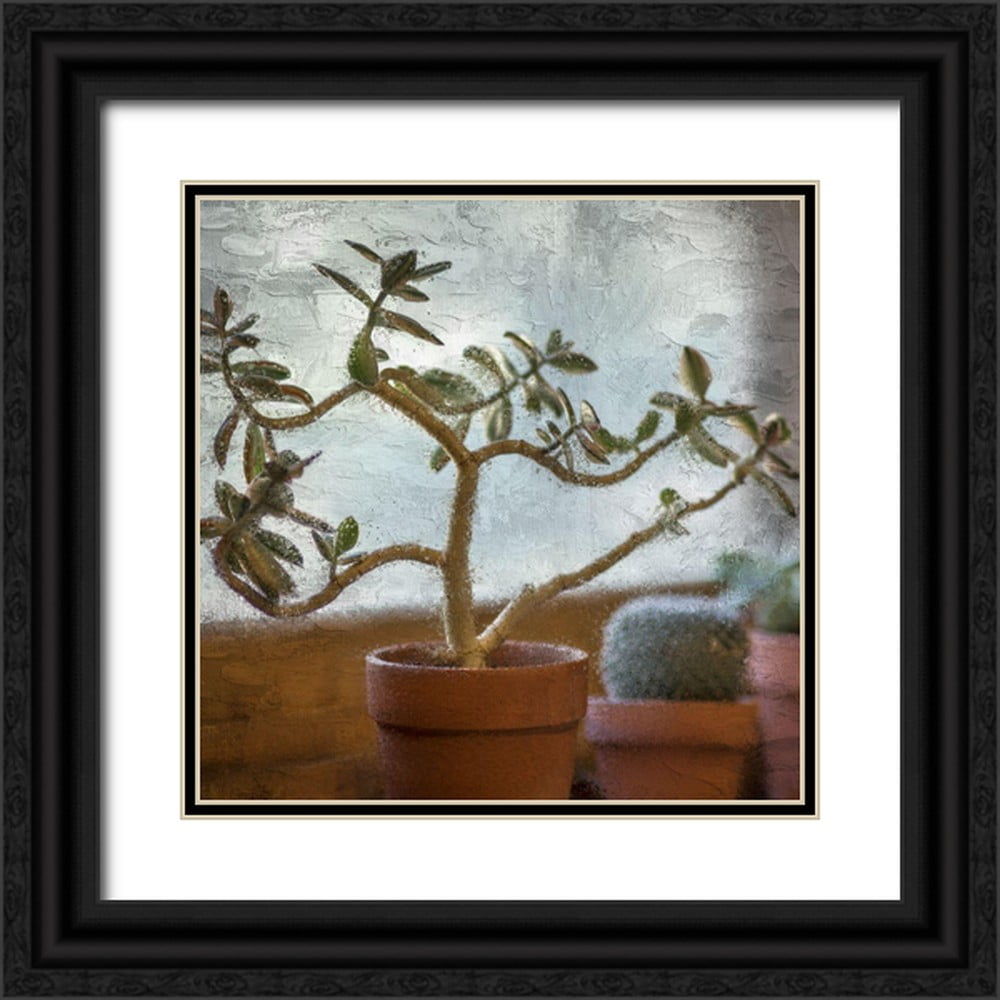 Allen, Kimberly 26x26 Black Ornate Wood Framed with Double Matting ...