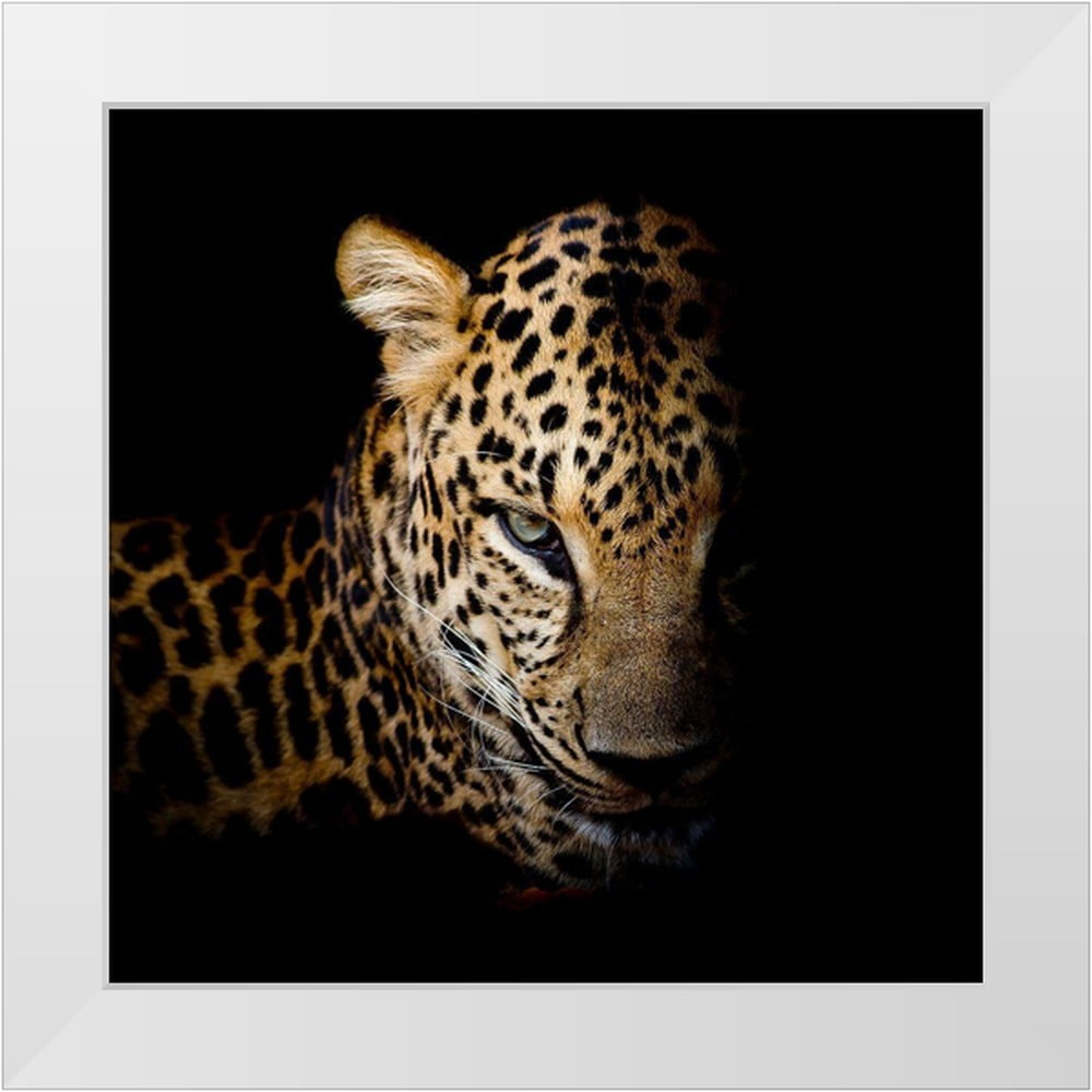 Allen, Kimberly 26x26 White Modern Wood Framed Museum Art Print Titled ...