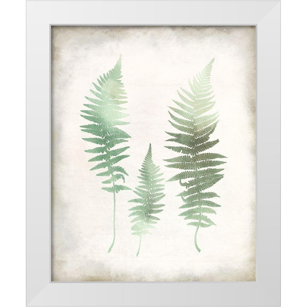 Allen, Kimberly 26x32 White Modern Wood Framed Museum Art Print Titled - Watercolor Fern 1 ...