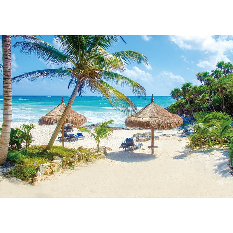 Allenjoy Background For The Aquarium Beach Ocean Seaside Island Vinyl ...