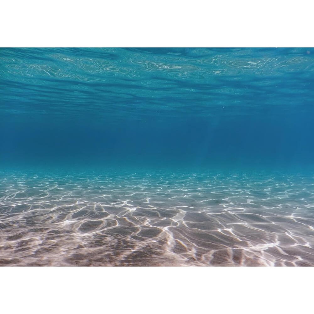 Allenjoy Background For The Aquarium Beach Ocean Seaside Island Vinyl ...