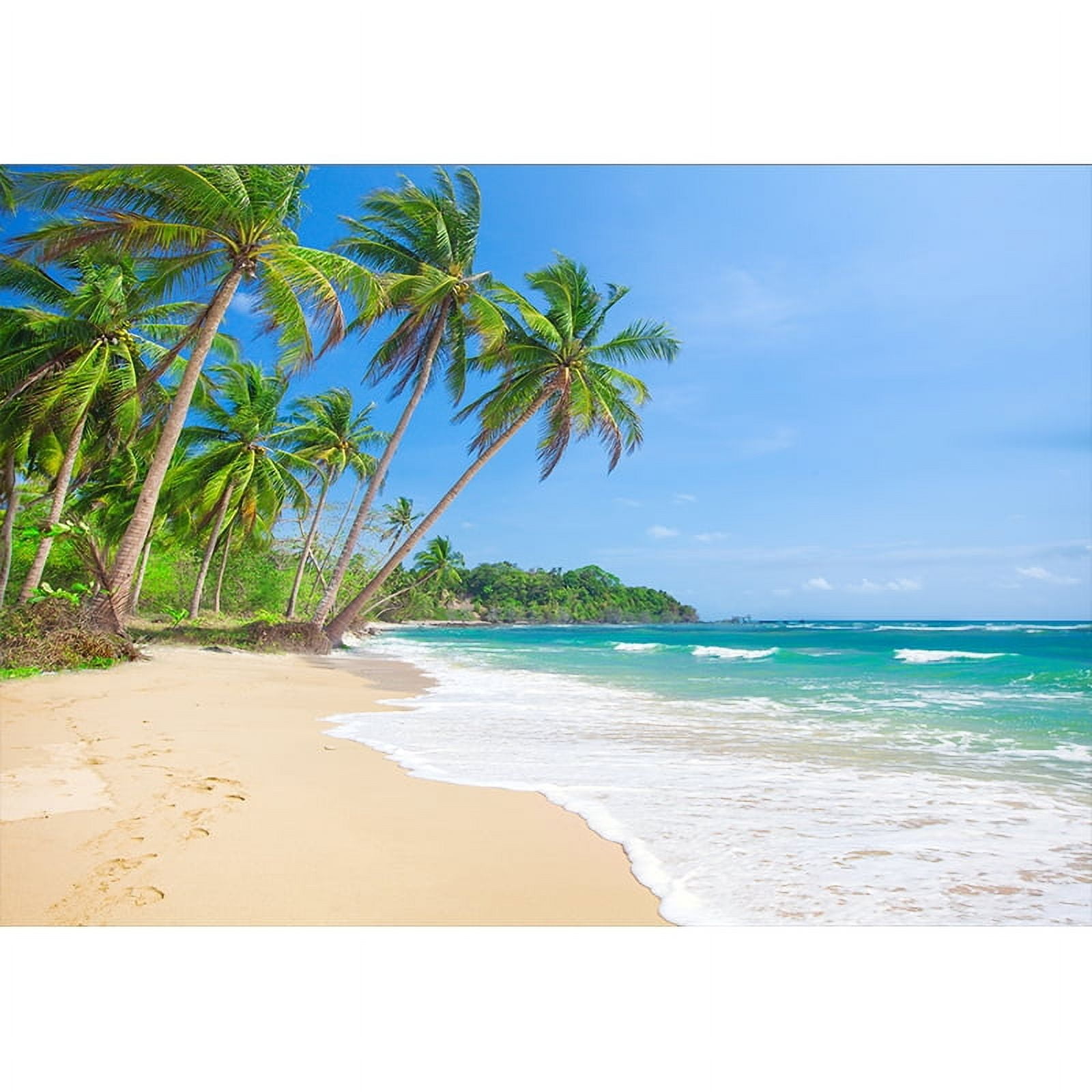 Allenjoy Background For The Aquarium Beach Ocean Seaside Island Vinyl ...