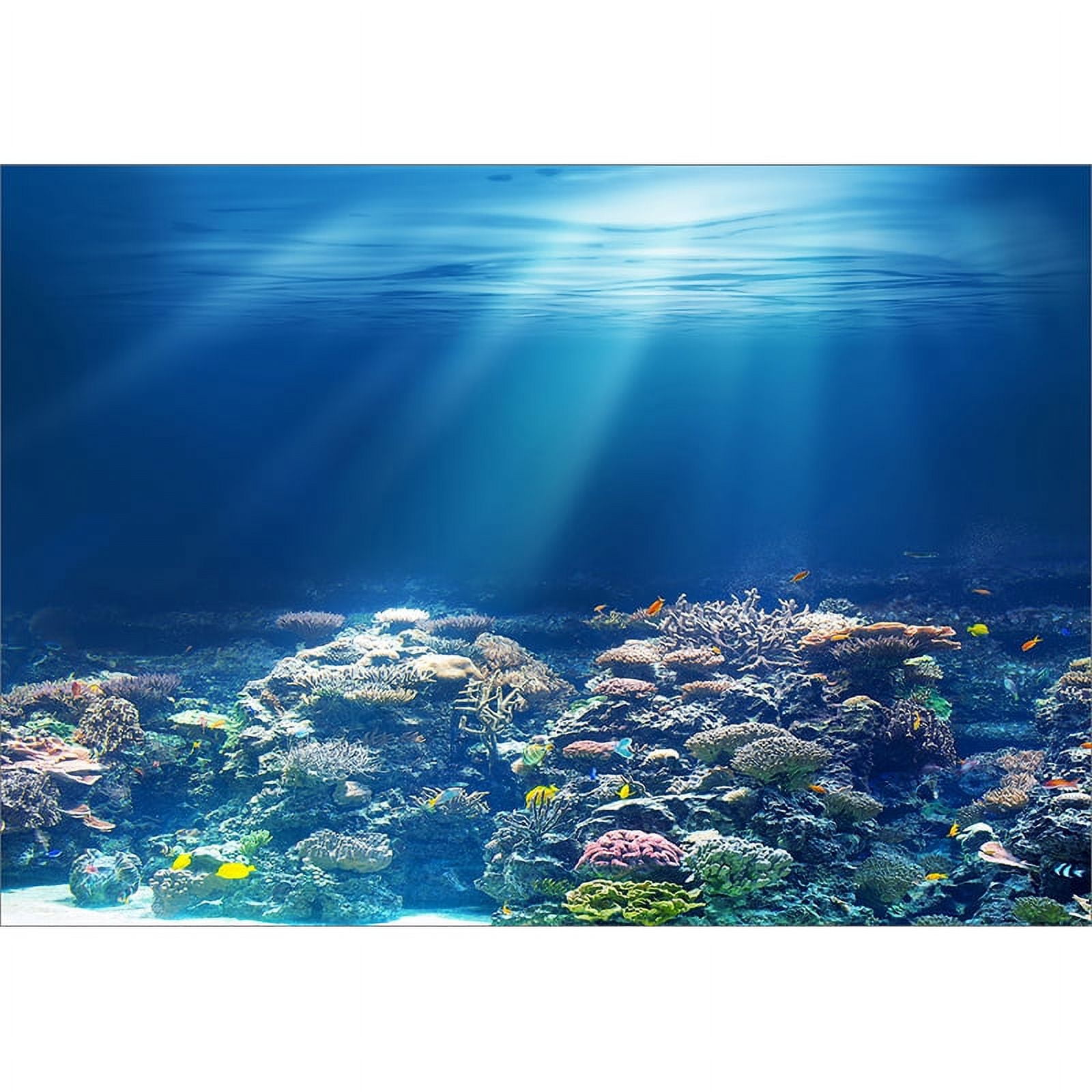 Allenjoy Background For The Aquarium Beach Ocean Seaside Island Vinyl ...