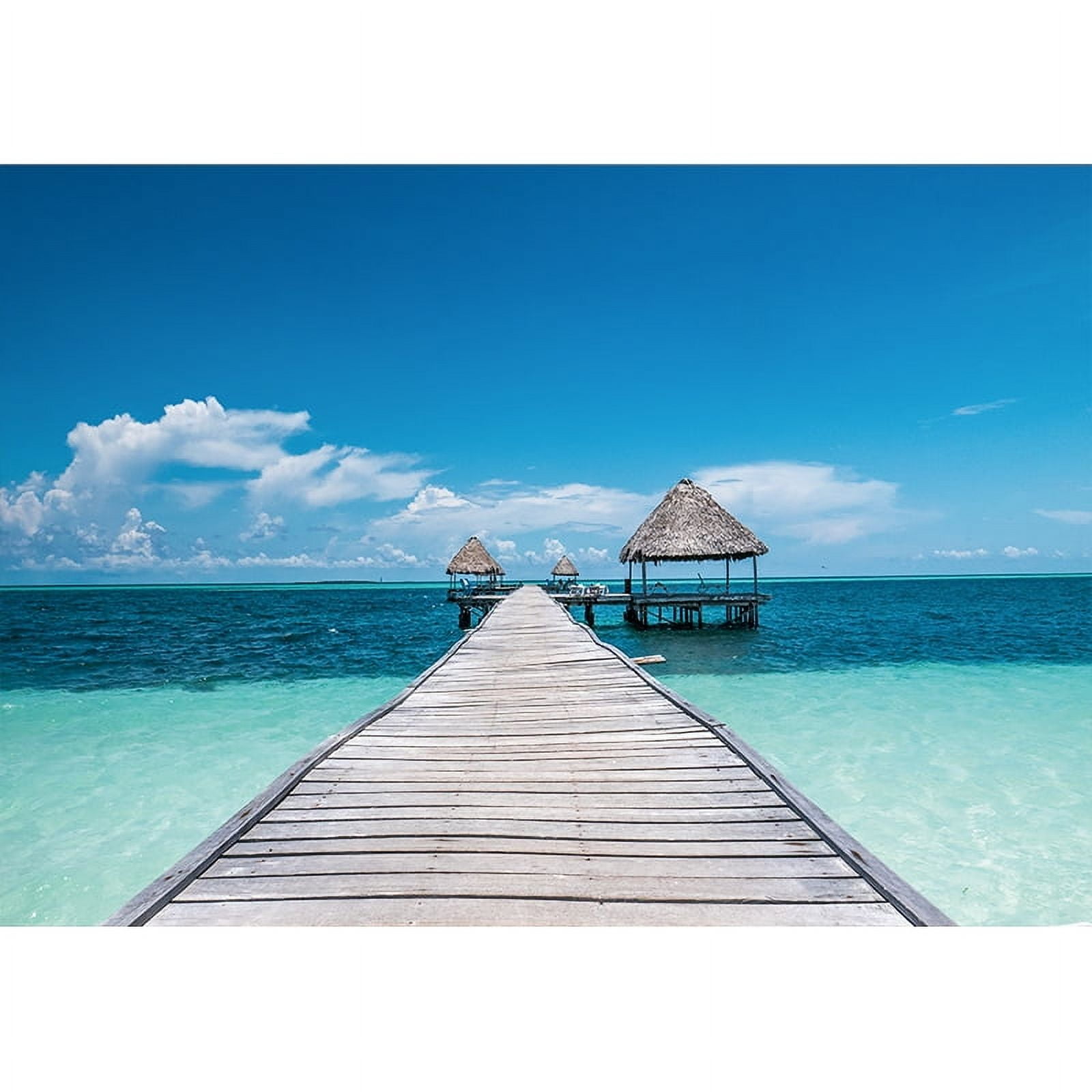 Allenjoy Background For The Aquarium Beach Ocean Seaside Island Vinyl Photography Backdrops ...