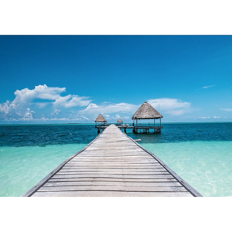 Allenjoy Background For The Aquarium Beach Ocean Seaside Island Vinyl ...