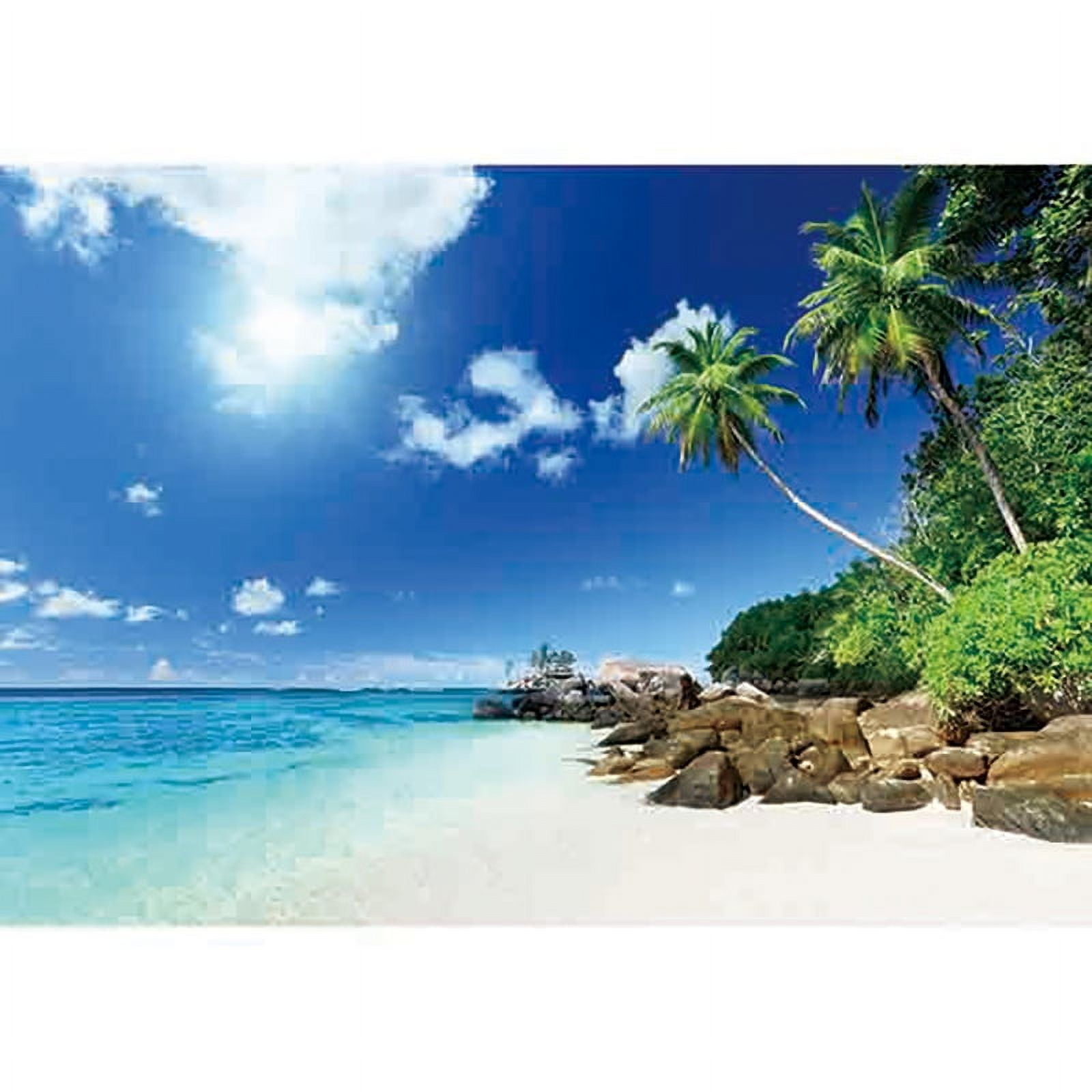 Allenjoy Background For The Aquarium Beach Ocean Seaside Island Vinyl ...