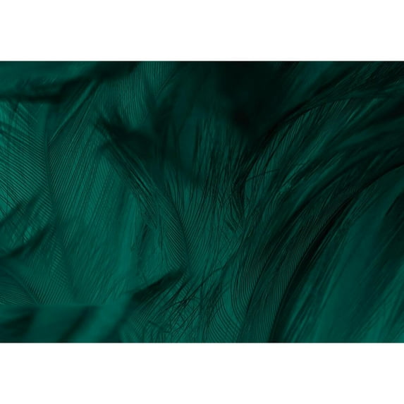 Allenjoy Dreamy Wonderland Pink Feather Wall Baby Birthday Photography ...