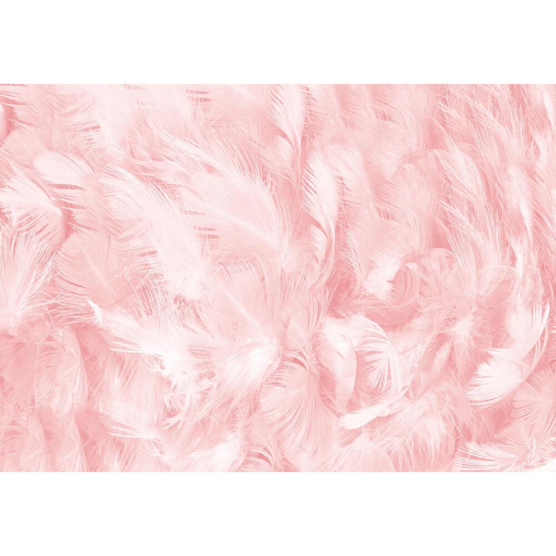 Allenjoy Dreamy Wonderland Pink Feather Wall Baby Birthday Photography ...