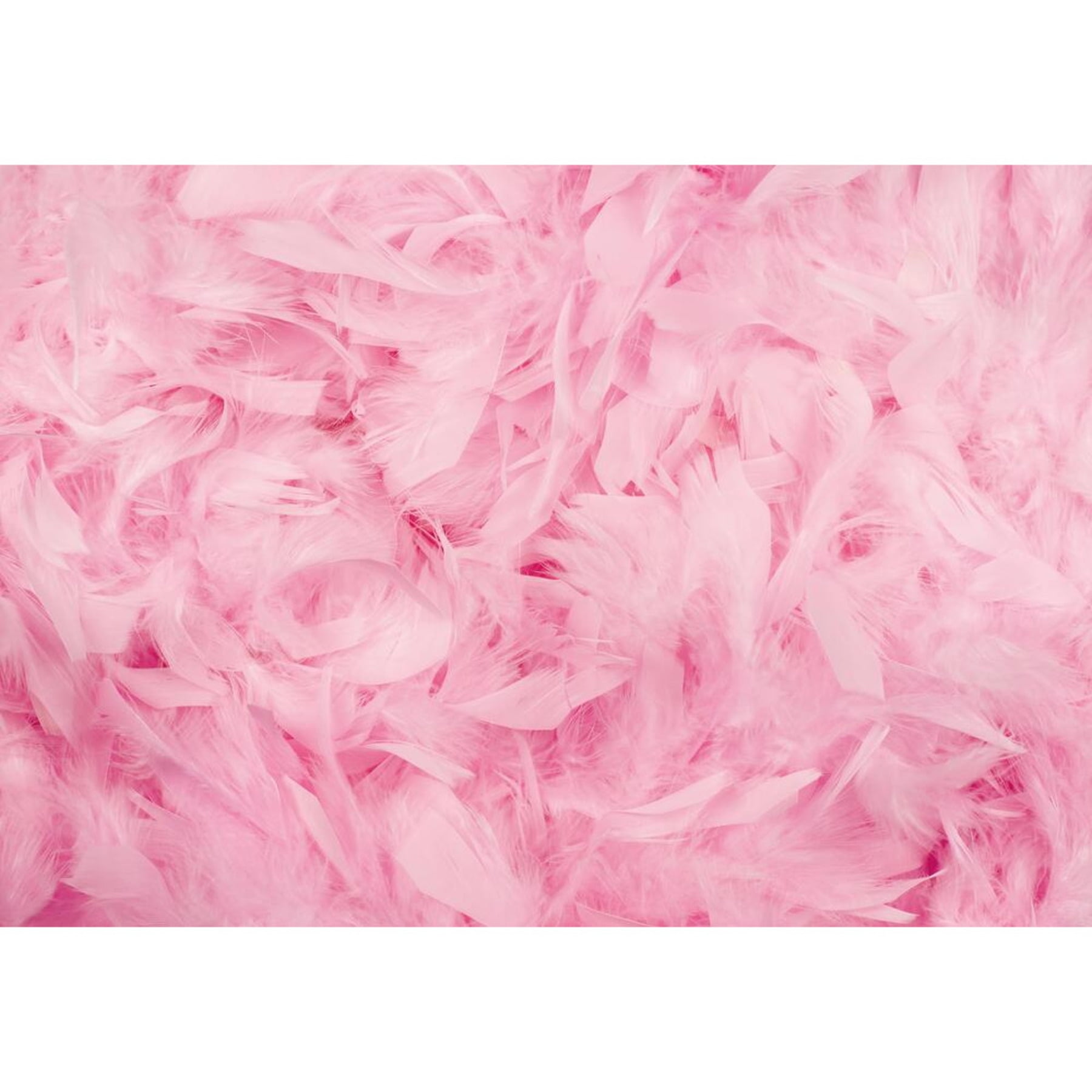 Allenjoy Dreamy Wonderland Pink Feather Wall Baby Birthday Photography ...