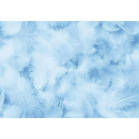Allenjoy Dreamy Wonderland Pink Feather Wall Baby Birthday Photography ...
