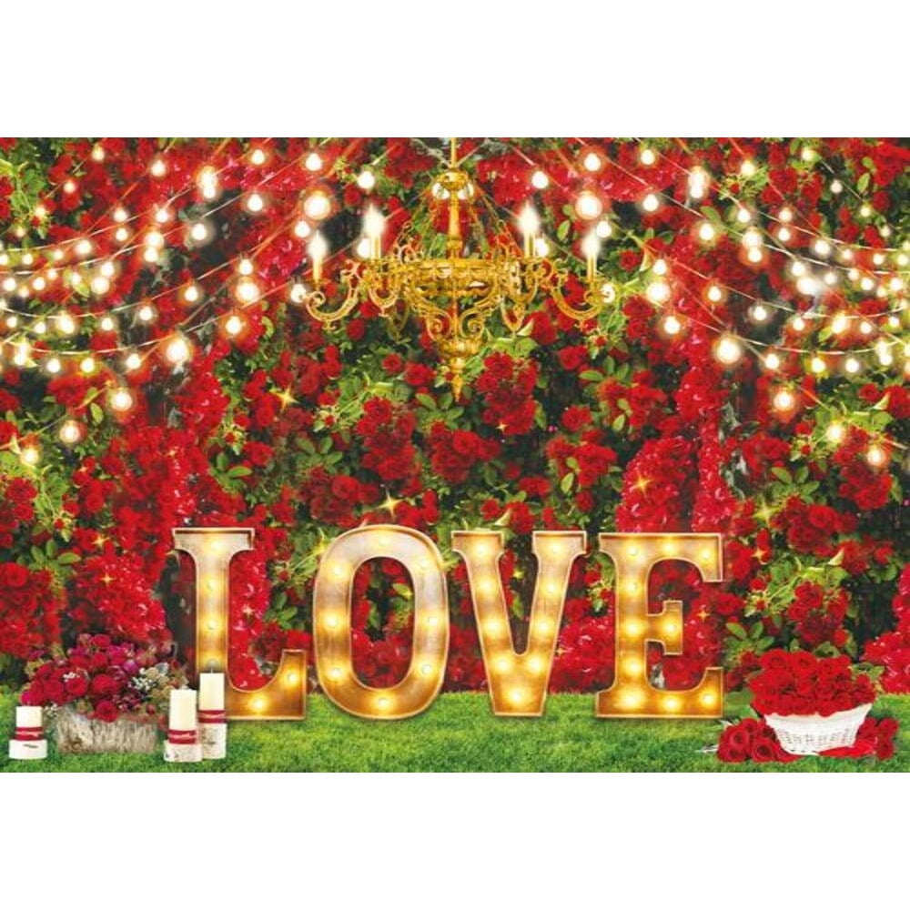 Allenjoy February 14th Background Photography Valentine day Hearts Love ...