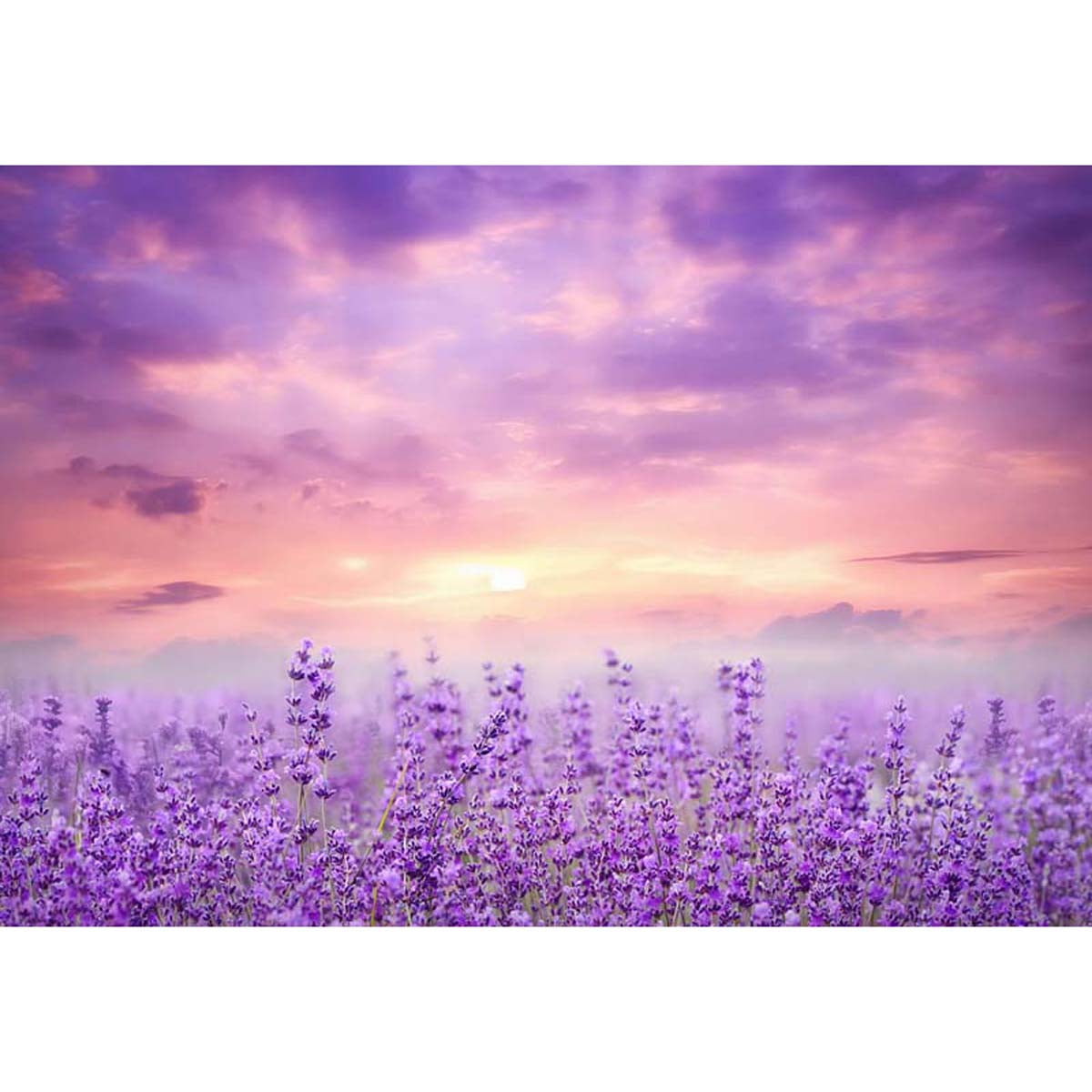 Allenjoy Lavender Flower Field at Sunset Backdrop - Walmart.com