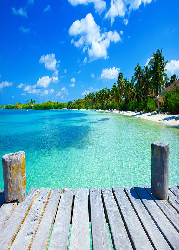 Allenjoy Tropical Sea Beach Background For Photography Vinyl Sky Palm ...