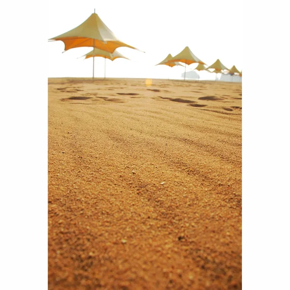 Allenjoy Tropical Sea Beach Background For Photography Vinyl Sky Palm ...