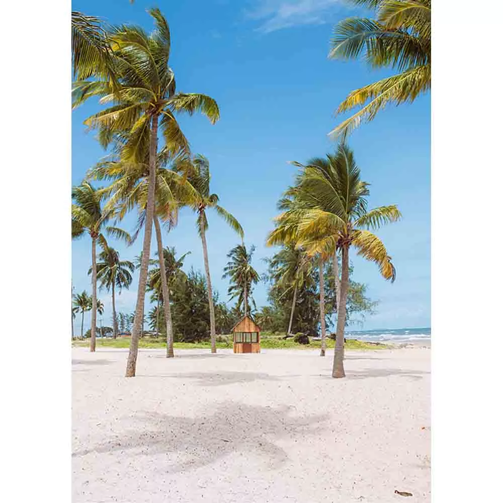Allenjoy Tropical Sea Beach Background For Photography Vinyl Sky Palm ...