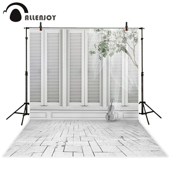 Allenjoy Vinyl photography white window violin shutter background for ...