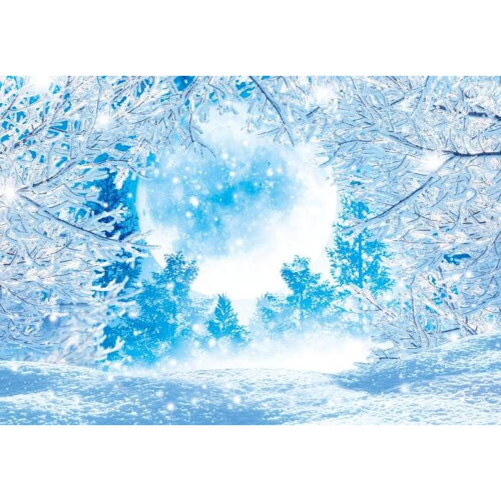 Allenjoy Winter Wonderland Backdrop Party Castle Snowy Forest Landscape ...