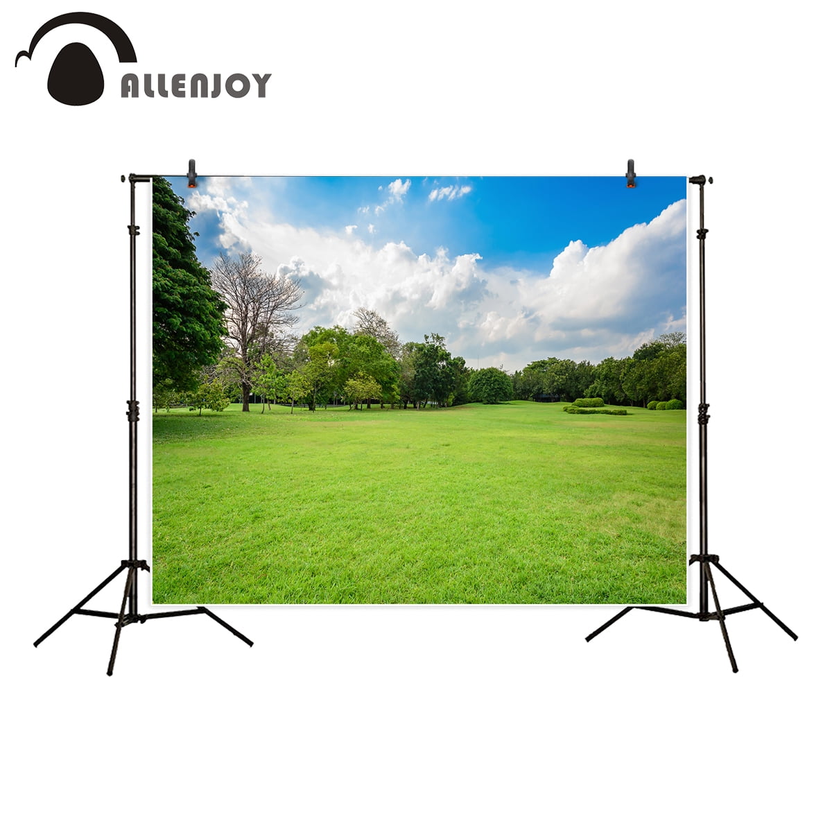 Allenjoy backdrop for photographic studio spring green lawn blue sky ...