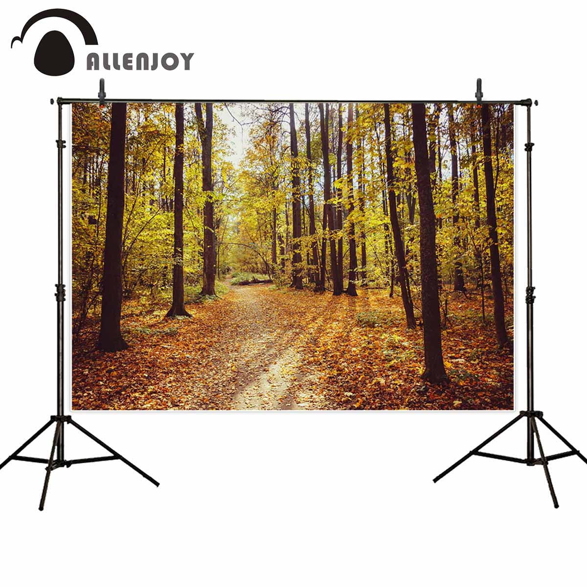 Allenjoy backdrop for photographic studio sunlight autumn forest ...