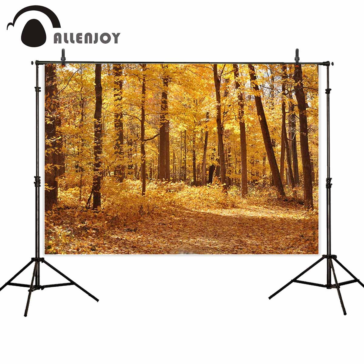 Allenjoy backgrounds for photography studio Withered forest trees ...