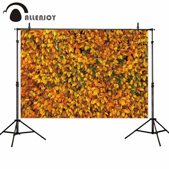 Allenjoy backgrounds for photography studio colorful bright yellow ...