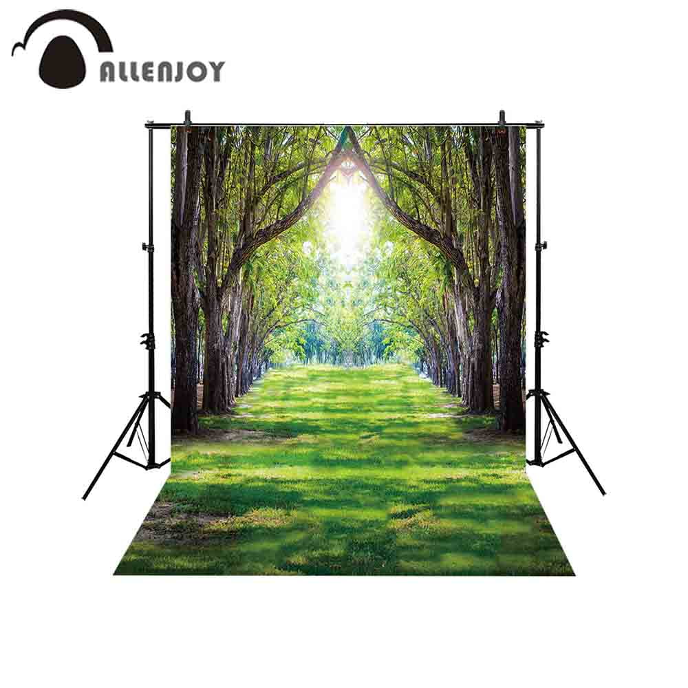 Allenjoy backgrounds for photography studio magic forest tunnel green ...