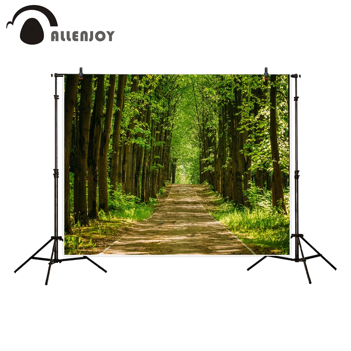 Allenjoy backgrounds for photography studio walkway lane path green ...