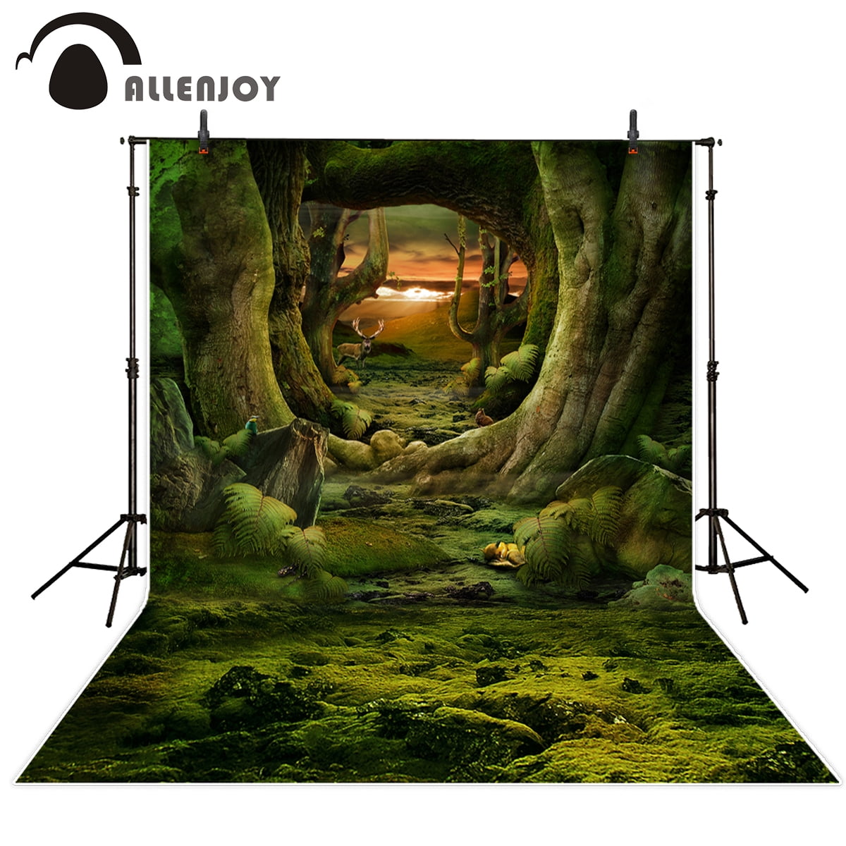 Allenjoy camera photography profissional Sunset Grassland forest ...