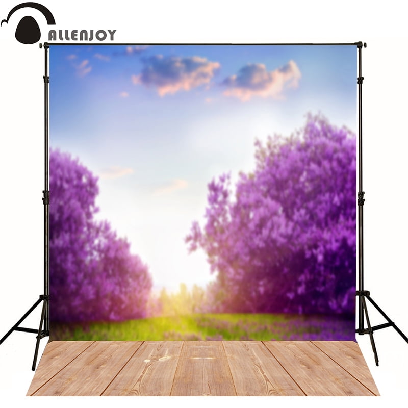 Allenjoy photo backdrops Plank purple cloud lawn photography studio ...