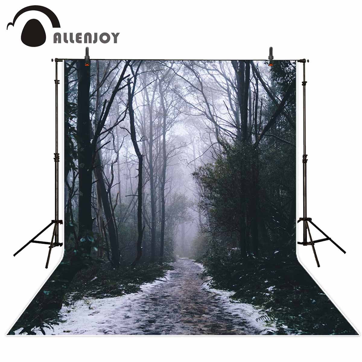 Allenjoy photography backdrop for photo studio winter forest path misty ...