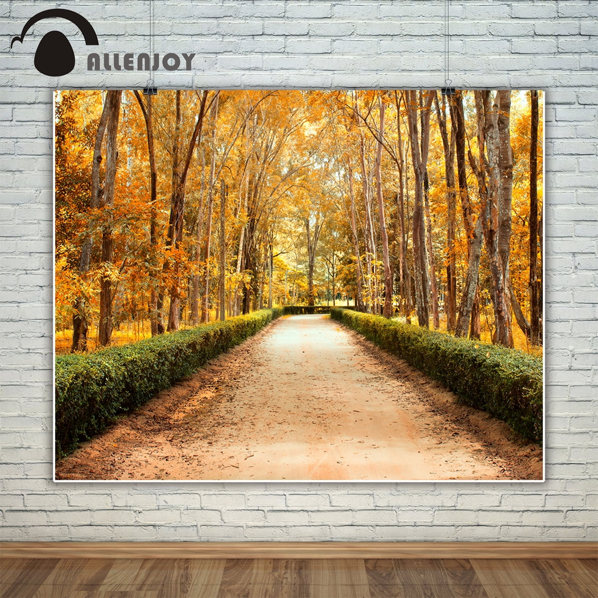 Allenjoy photography backdrop pathway beautiful autumn park landscape ...