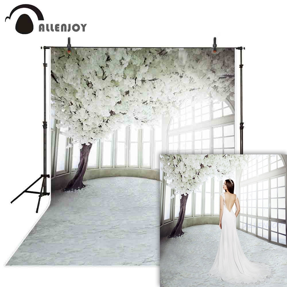 Allenjoy photography backdrops Month City Star Color photo baby ...