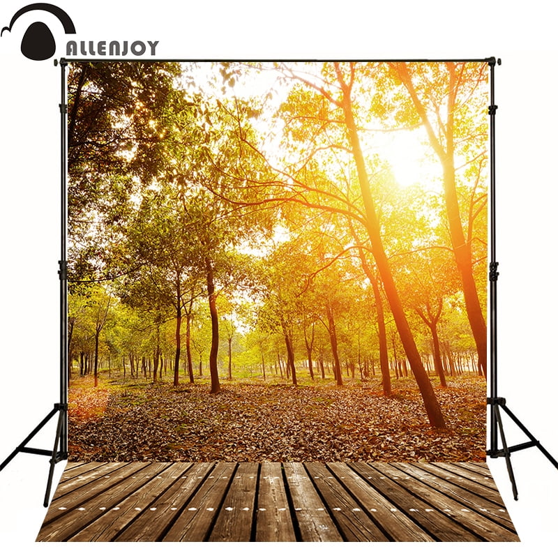 Allenjoy photography backdrops Sunshine Natural deciduous tree photo ...