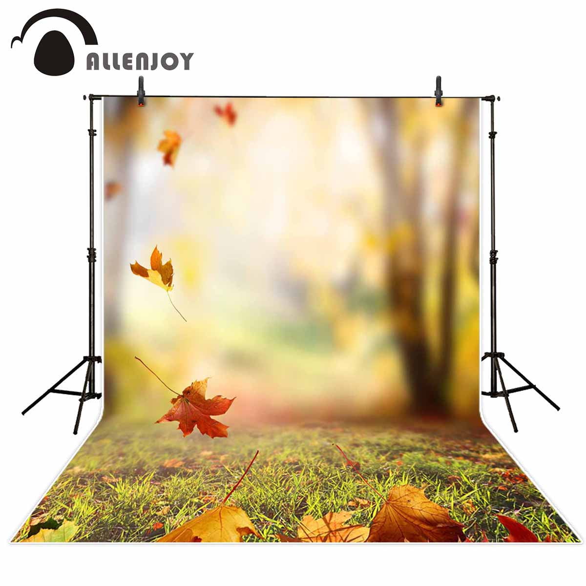 Allenjoy professional photography background Blur bokeh autumn falling ...