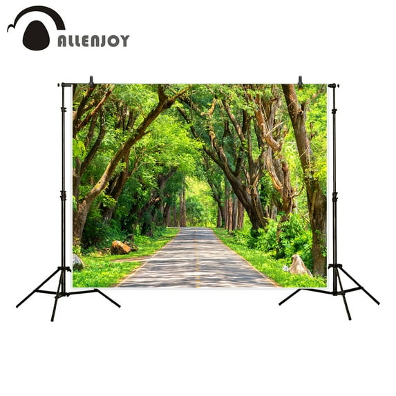 Allenjoy professional photography background beautiful road in deep ...