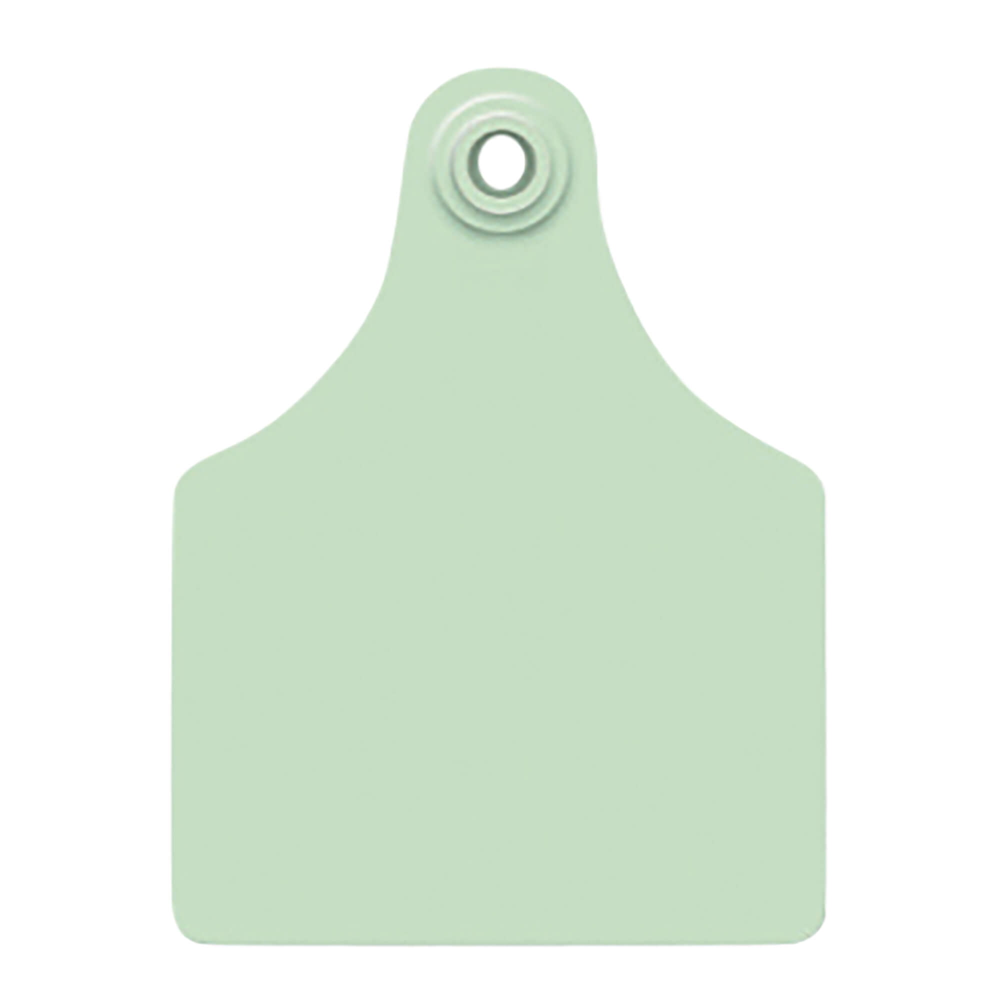 Allflex Global Maxi Blank Cattle Ear Tags 25 Count Green - Walmart.com