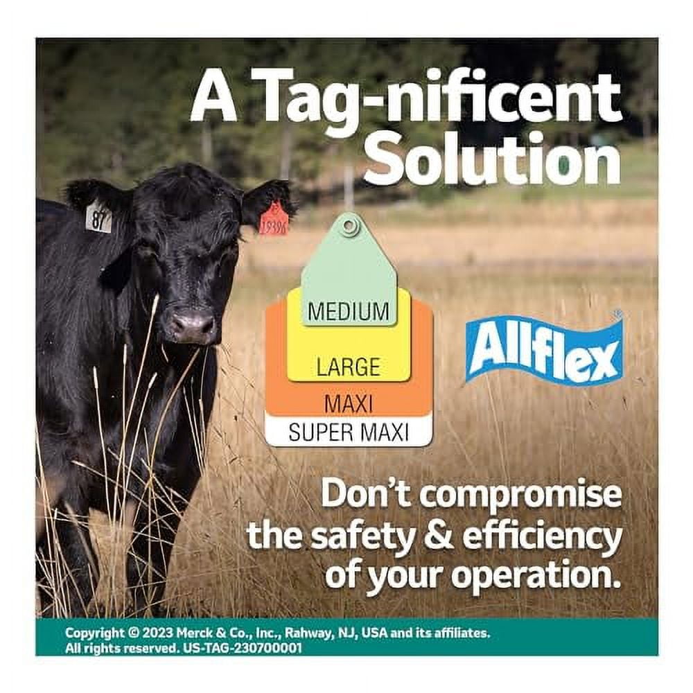 Allflex USA Allflex Large Orange Blanks Ear Tags - Pack of 25 - Walmart.com