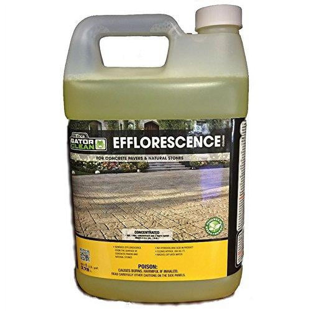 Alliance Gator Clean Efflorescence Cleaner 1 Gal for Pavers & Natural ...