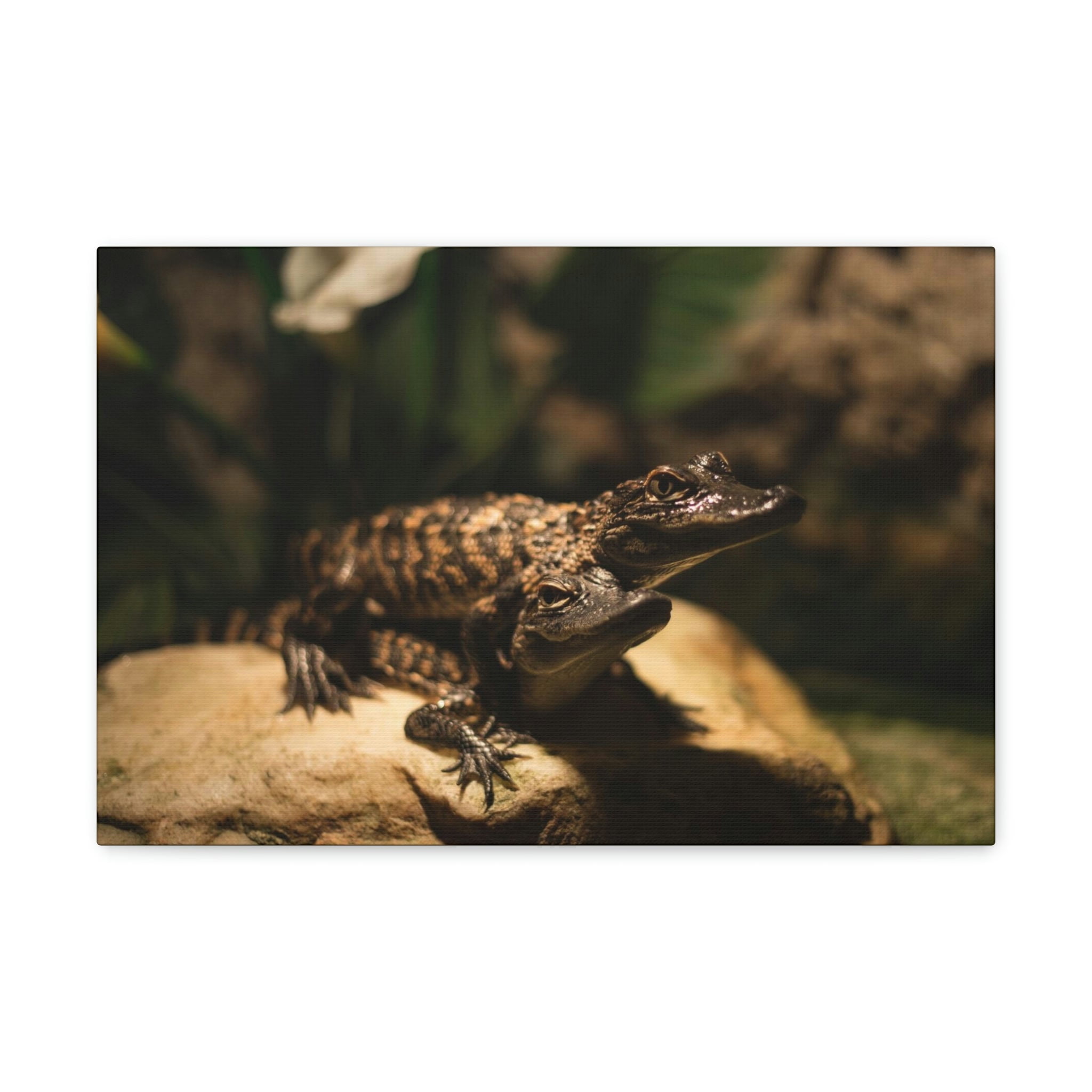 Alligator Couple Alligator Troop Print Animal Wall Art Wildlife Canvas ...