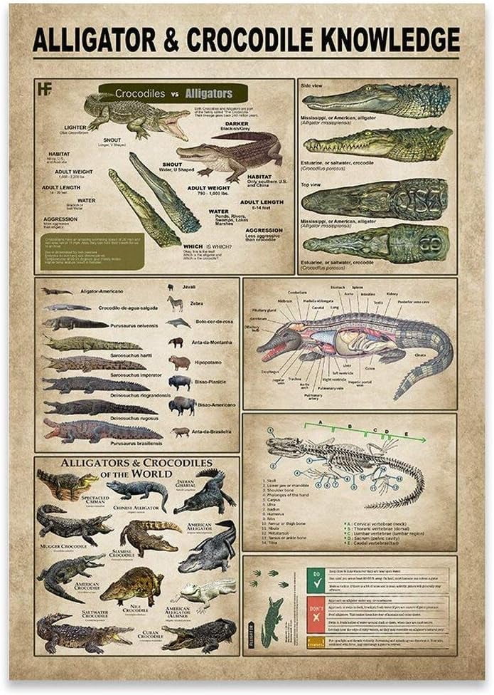 Alligator & Crocodile Knowledge Posters Metal Signs Alligator ...