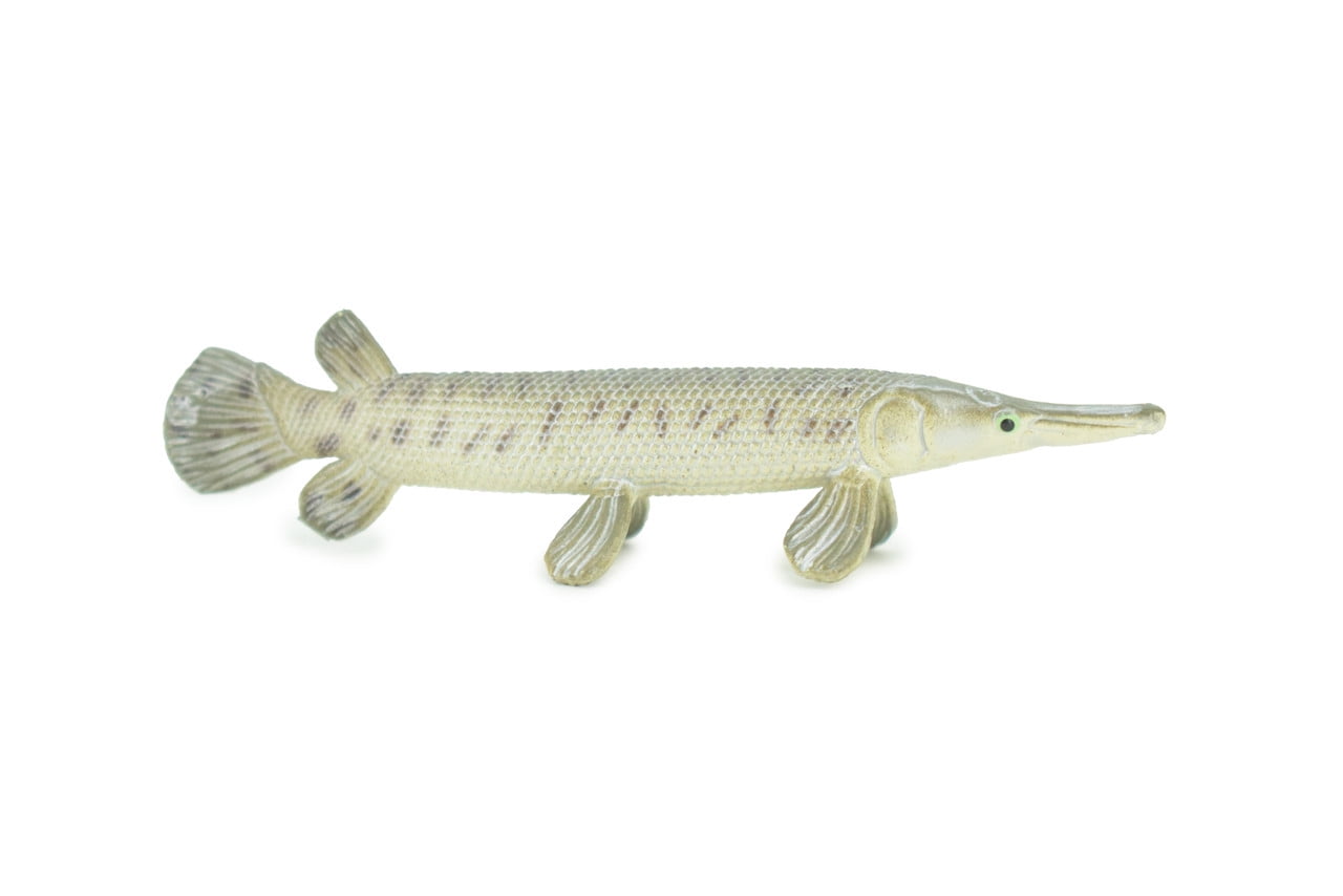 Alligator Gar, Gator Gar, Alligator Pike, Gar Pike, Hand Painted ...